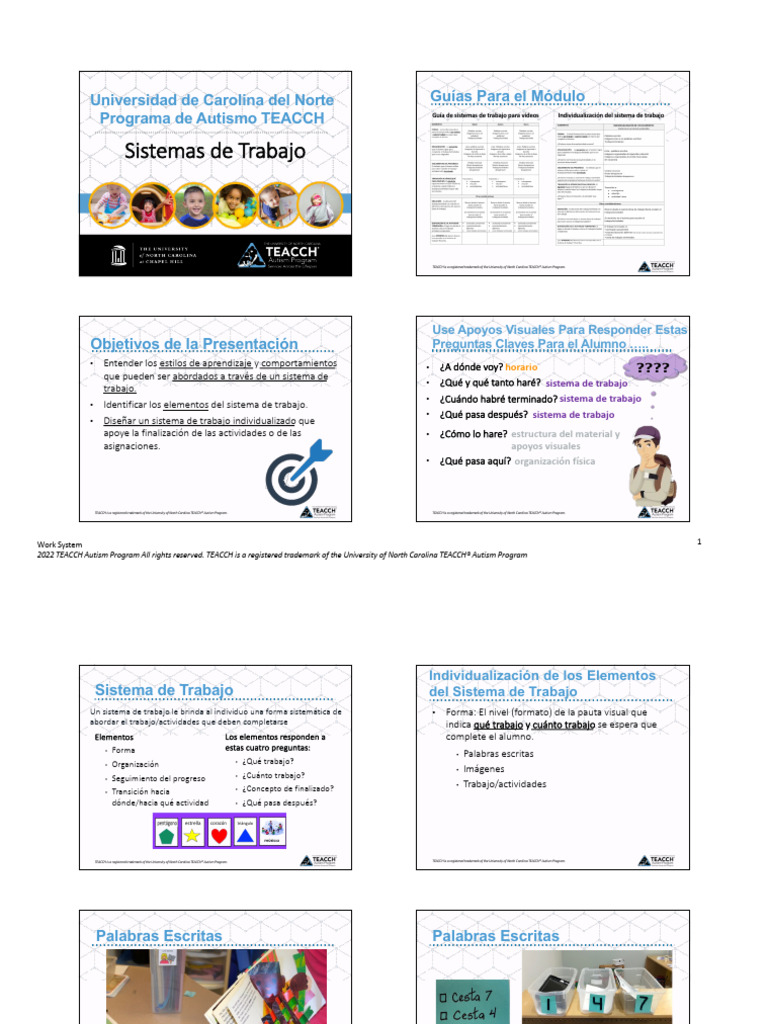 TEACCH 3 | PDF | Aprendizaje | Cognición