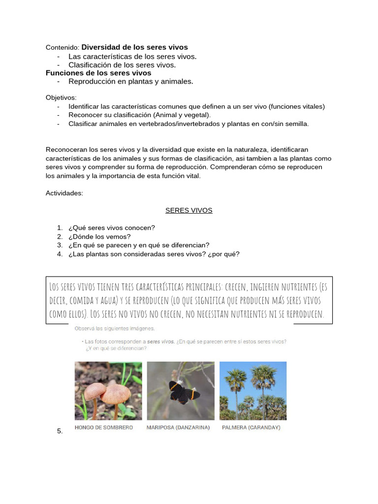 Contenido - Diversidad de Los Seres Vivos | PDF | Plantas | Organismos