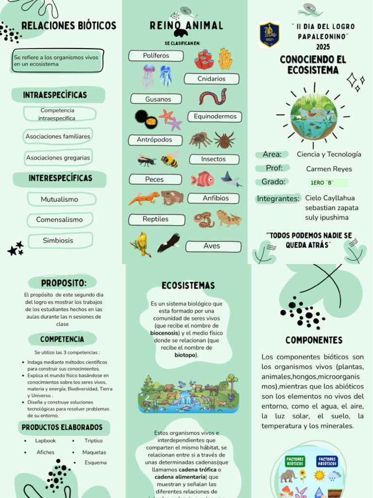 Triptico Del Ecosistema 1ro A | PDF