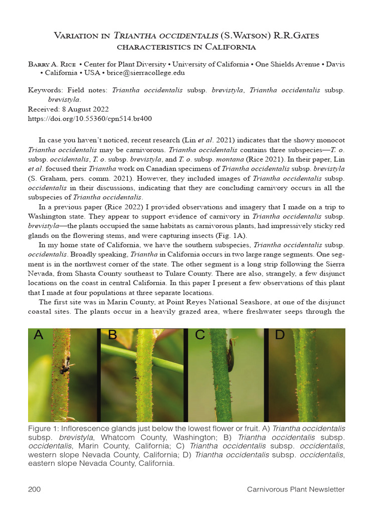 Triantha Occidentalis - Variations in California, 2022 | PDF | Plants ...