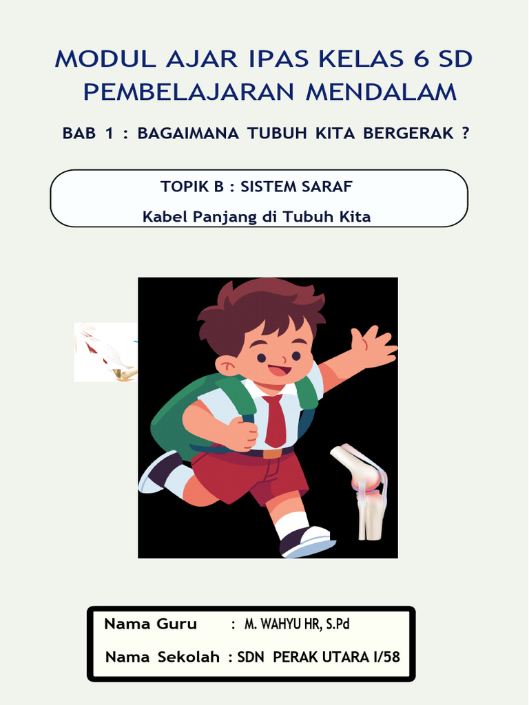 Modul Ajar - M Wahyu HR - Kelas 6b - Ipas - Sistem Saraf | PDF