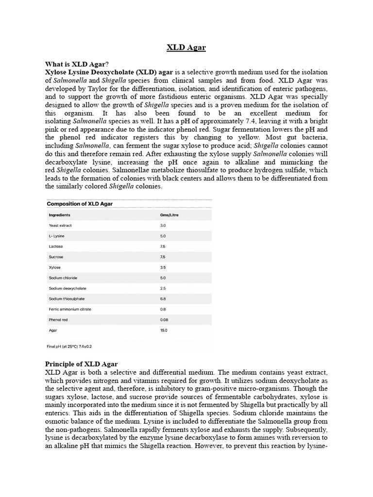 XLD Agar | PDF