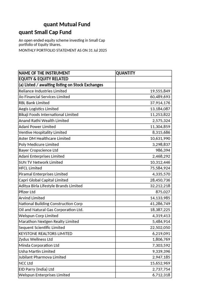 Quant Small Cap Fund Monthly Report | PDF | Futures Contract | Option ...