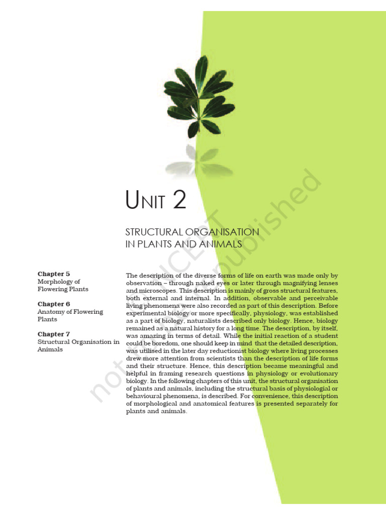 Morphology of Flowering Plants | PDF | Leaf | Seed