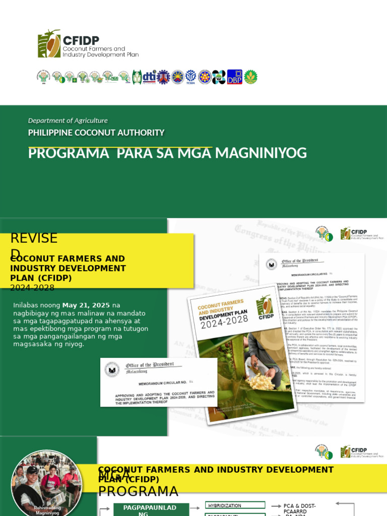 Coconut Farmers Development Plan 2024-2028 | PDF | Philippines