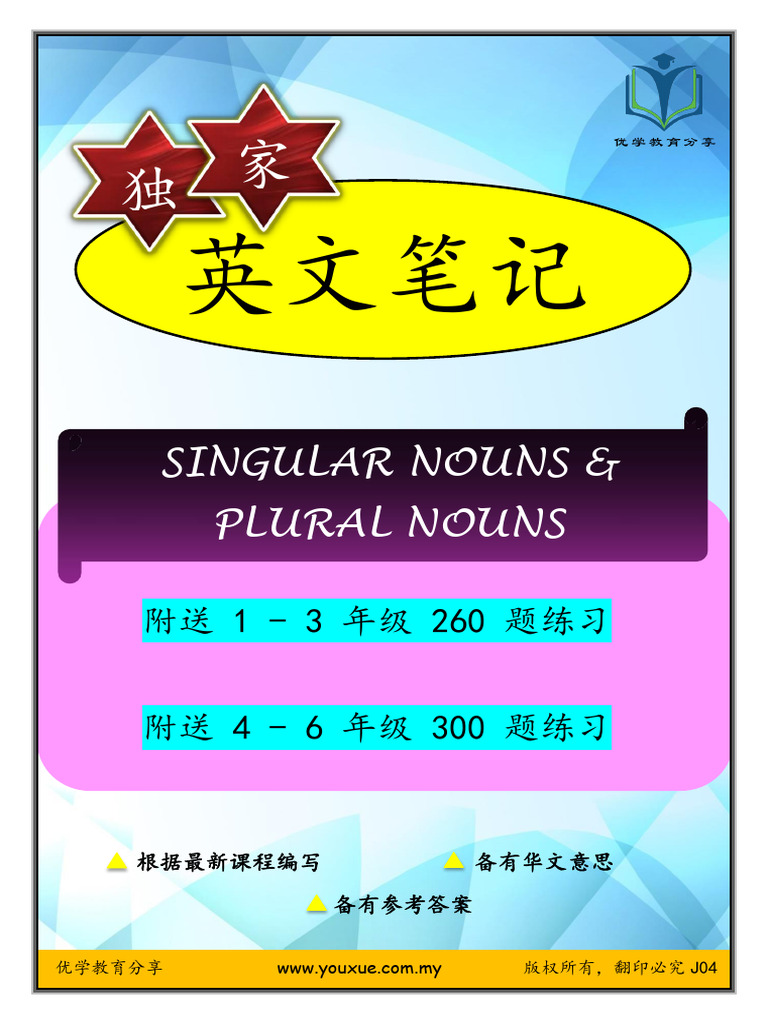 Singular Nouns & Plural Nouns (Notes) | PDF