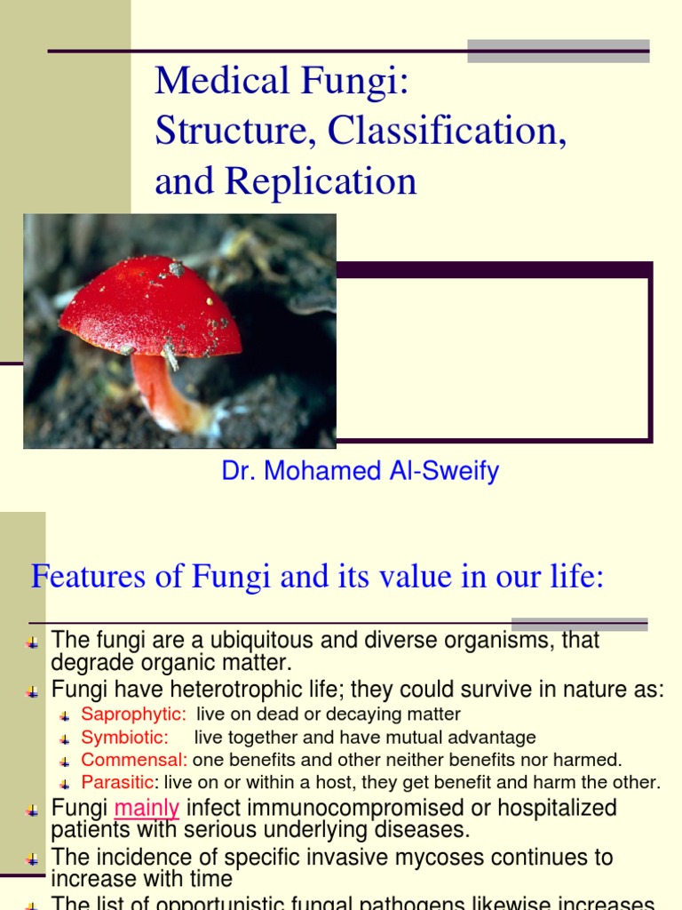 Fungal Classification, Structure, and Replication | PDF | Fungus | Mold