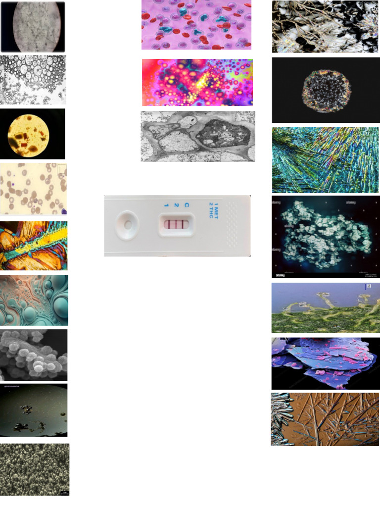 Forensic Drugs | PDF