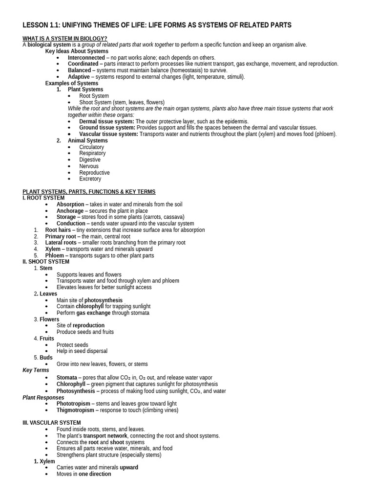 GENSCI-Q3-COMPILATION | PDF | Cell (Biology) | Tissue (Biology)