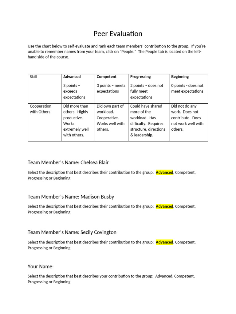 Team Member Peer Evaluation Chart | PDF