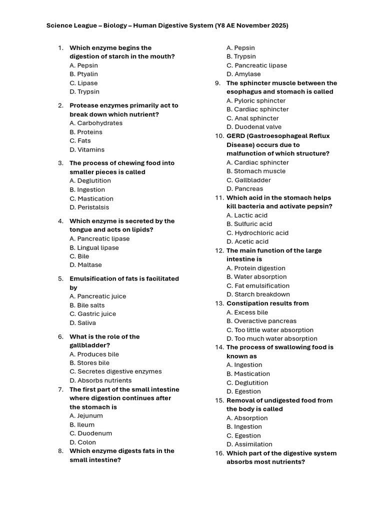 Human Digestive System Quiz & Essay Guide | PDF | Digestion | Human ...