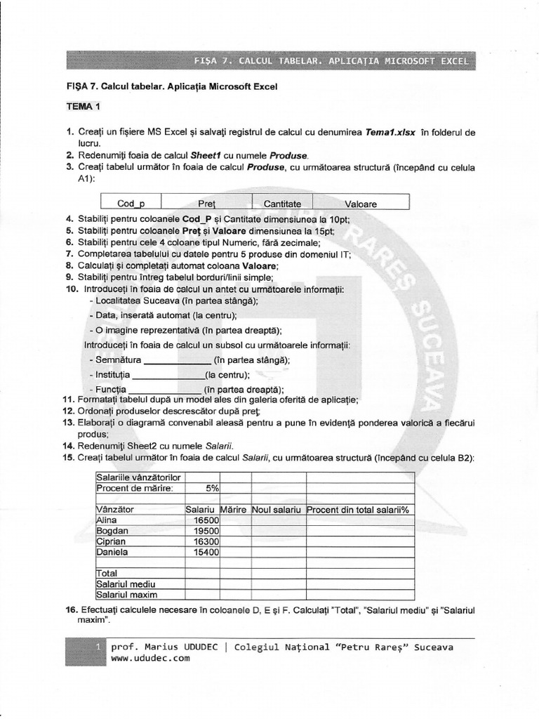 FISA 7. Calcul Tabeloar. Aplicatia Microsoft Excel | PDF