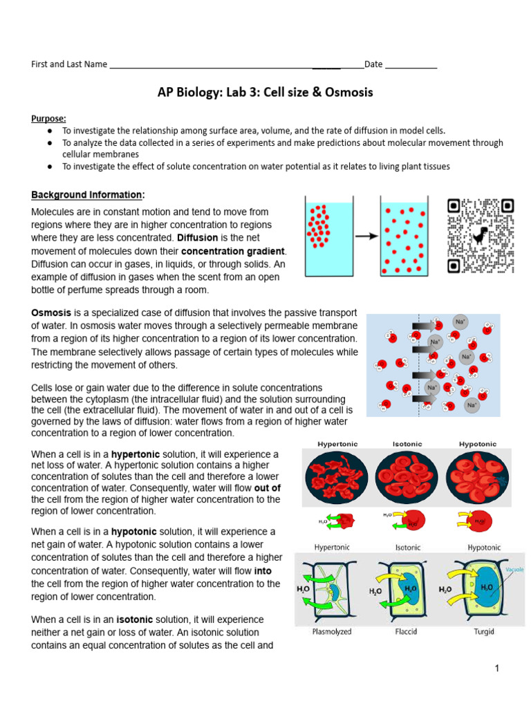 Copy of Cell Size _ Osmosis Lab STUDENT VERSION.docx | PDF | Statistics ...