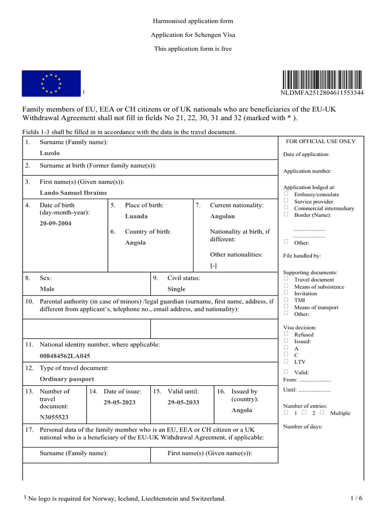 Schengen Visa Application Form Guide | PDF | Travel Visa