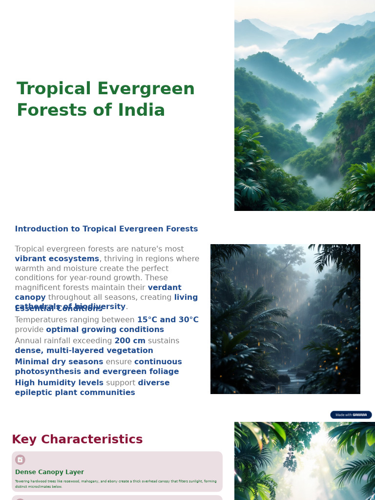 Tropical Evergreen Forests of India | PDF | Forests | Canopy (Biology)