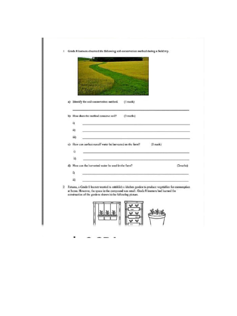 Knec Sba Grade 8 Agriculture | PDF