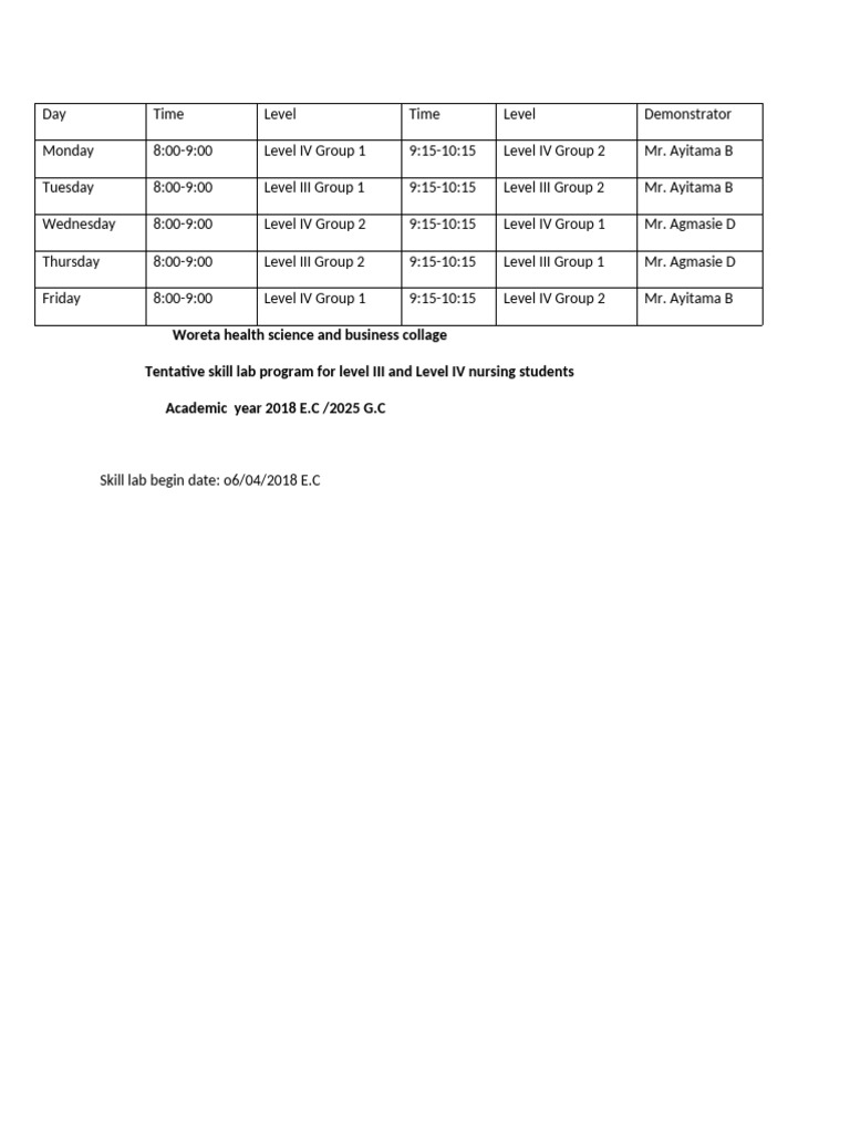 Skill Lab Program | PDF