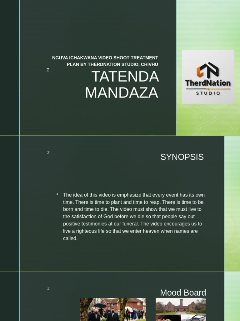 Tatenda Mandaza Video Shoot Treatment | PDF