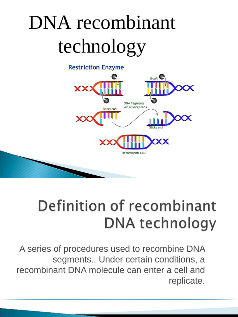 DNA recombinant Technology - Copy | PDF | Recombinant Dna | Vector ...