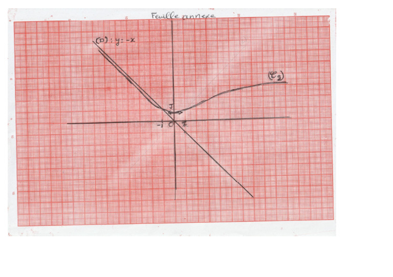 Courbe Exercice 5 Maths Série D | PDF