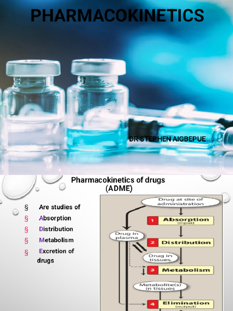 Pharmacokinetics Phoenix | PDF