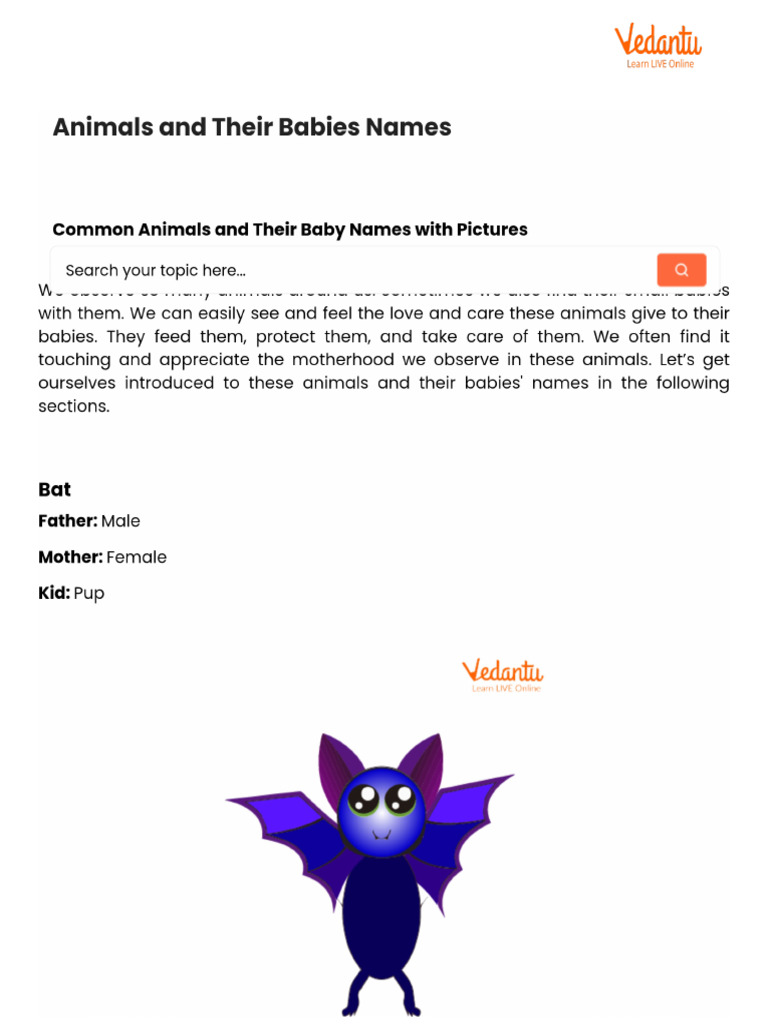 Animals and Their Babies Names | PDF