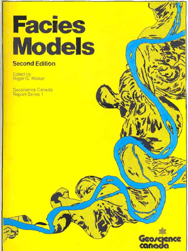 Facies Models | PDF