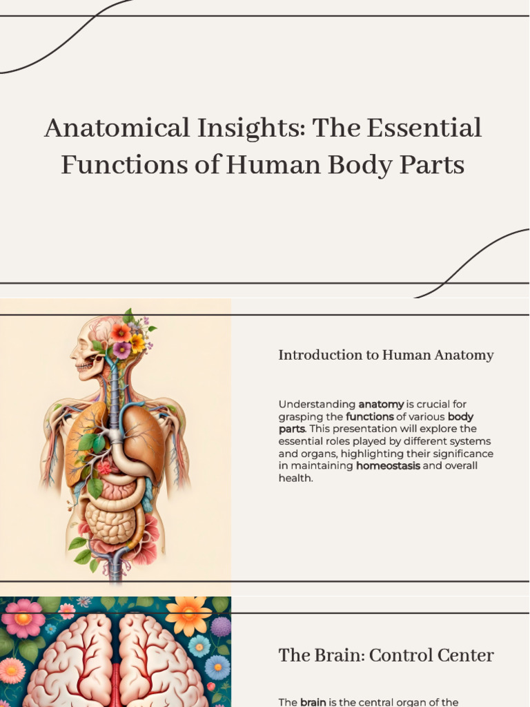 Slidesgo Anatomical Insights The Essential Functions of Human Body ...