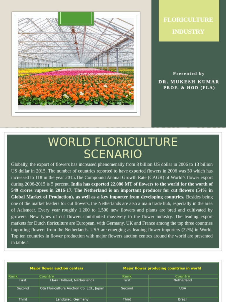 Floriculture Industry Presentation | PDF | Floristry | Botany