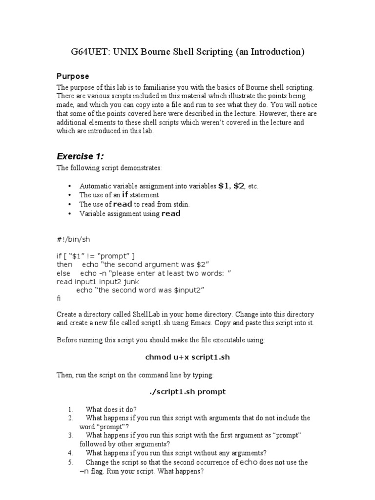 Shell Lab 2008 Pdf Parameter Computer Programming Command Line Interface