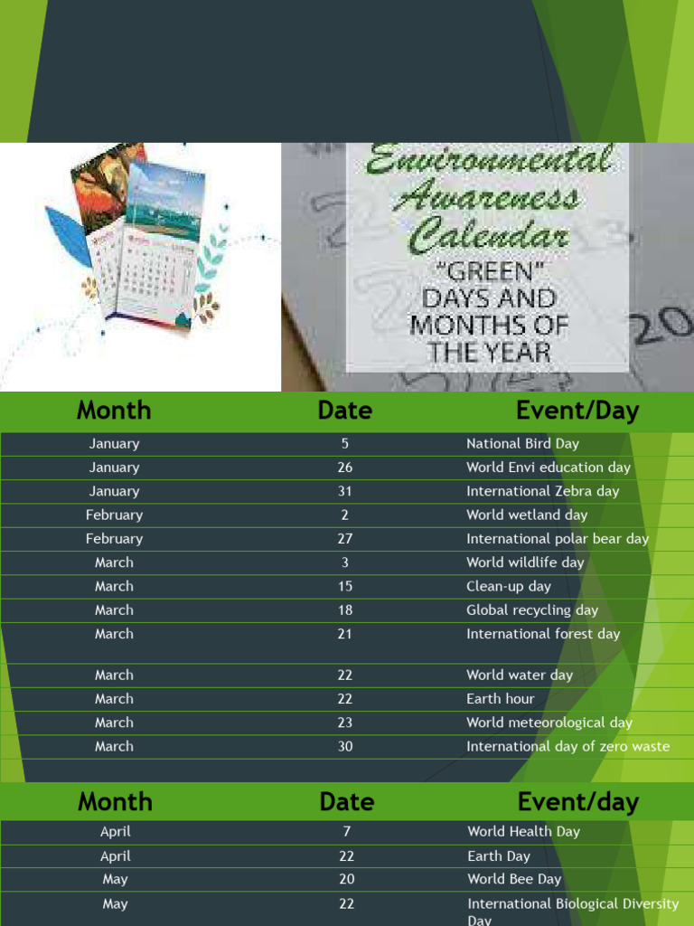 Environmental Calendar | PDF