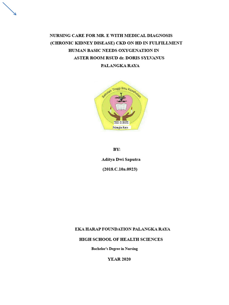 Initial Format For CKD On HD Nursing Assessment. | PDF | Kidney ...