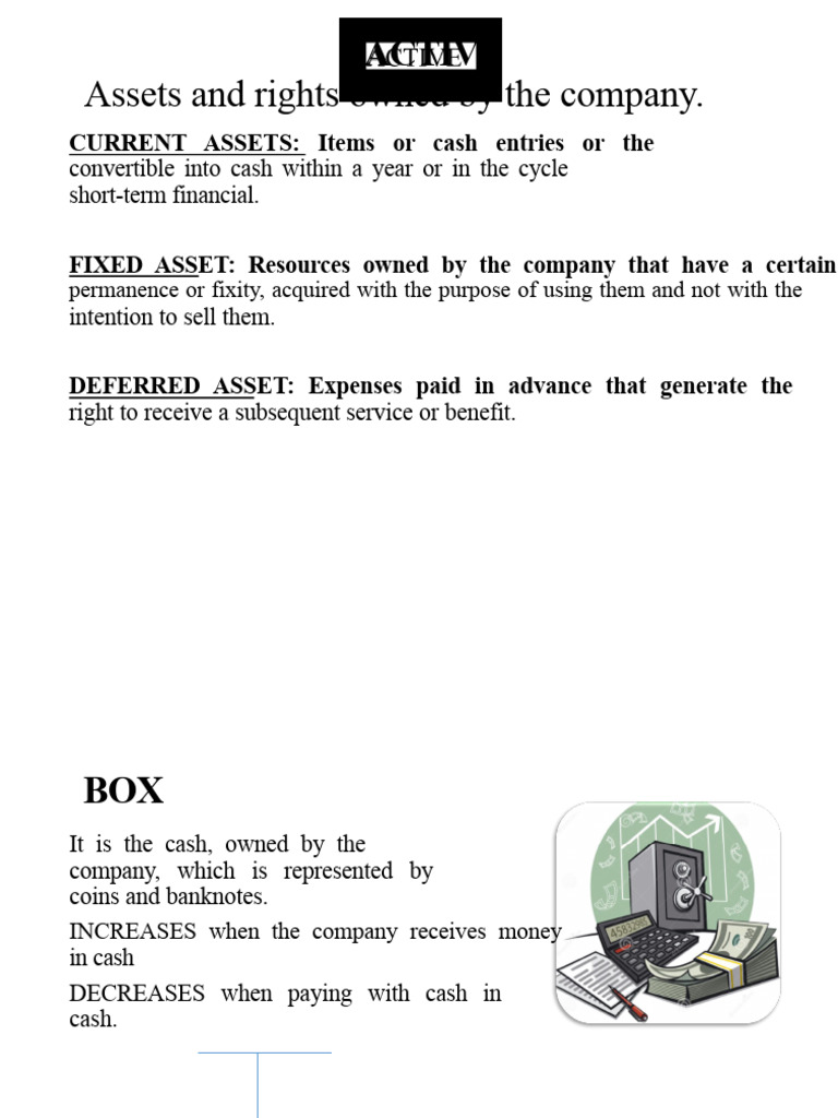 Company Asset Types and Management | PDF | Debits And Credits | Expense