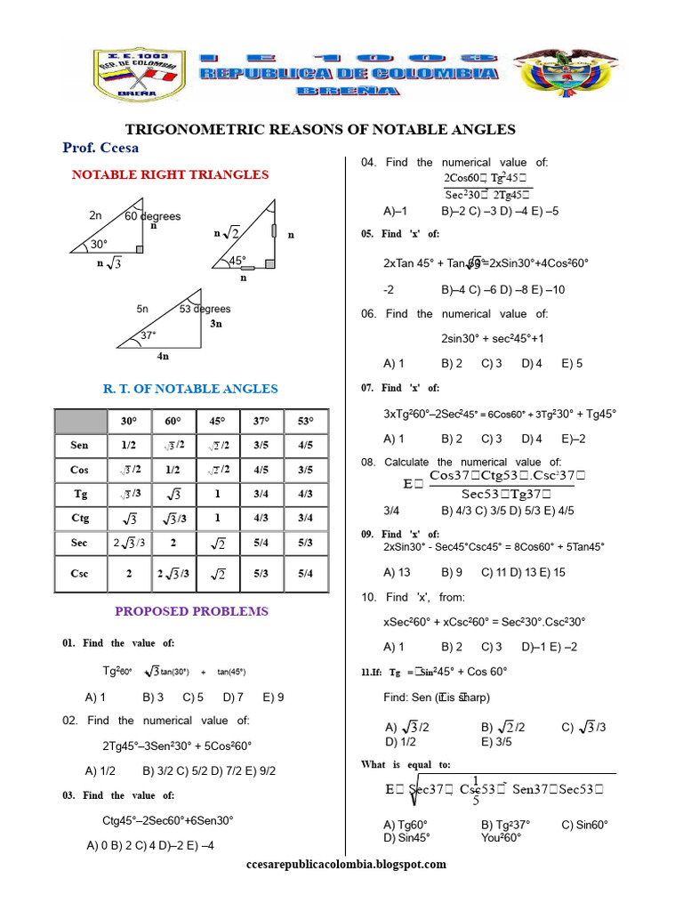 Trigonometric Ratios of Notable Triangles TN51 Ccesa007 | PDF ...