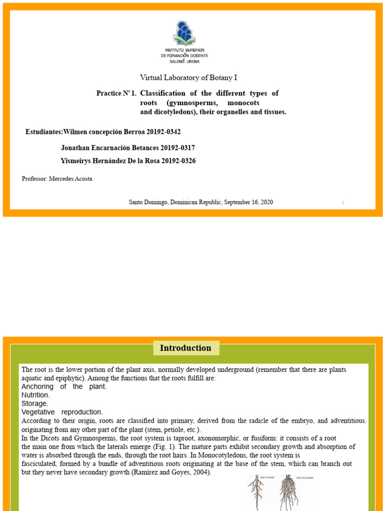 Practice No. 1 of the Root | PDF | Root | Plant Stem