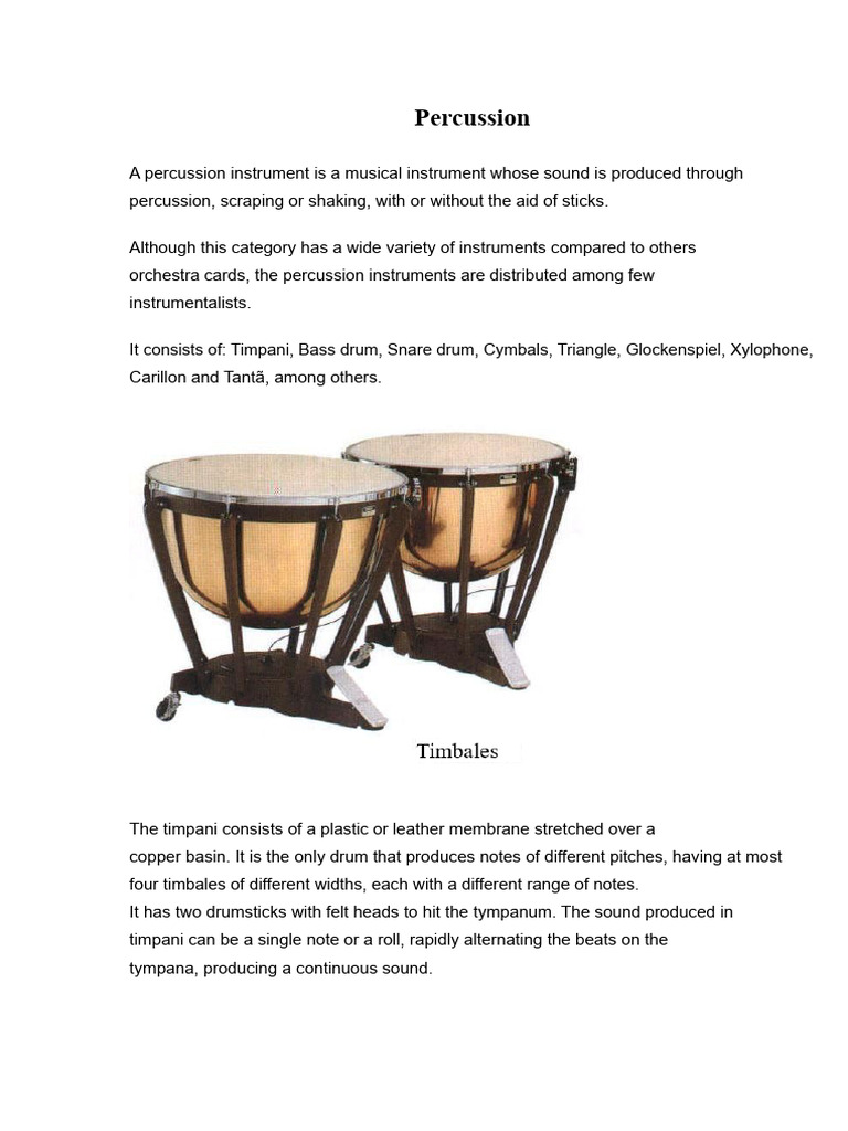 Percussion | PDF | Drum | Musical Instruments