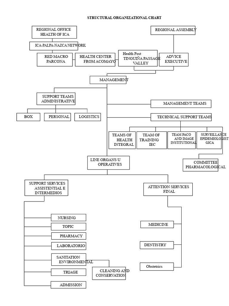 Regional Health Organizational Chart | PDF
