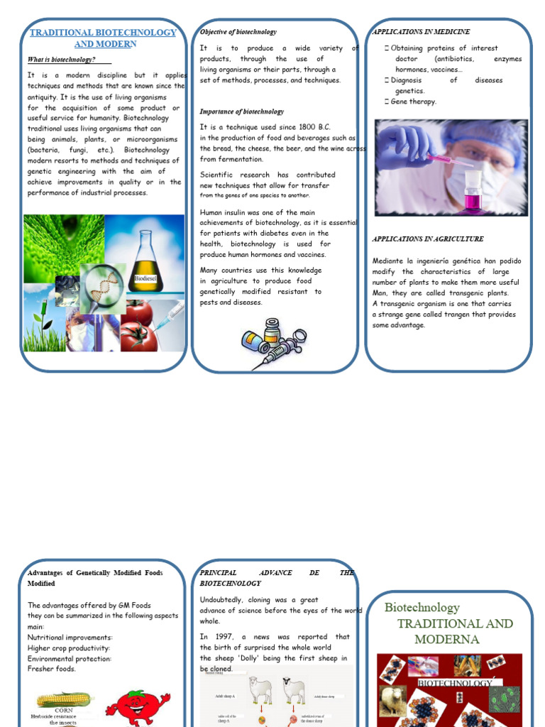 336515265-Trifold-Biotechnology-Traditional-and-Modern | PDF ...
