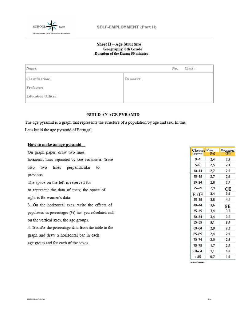 Sheet II - Age pyramid | PDF | Birth Rate