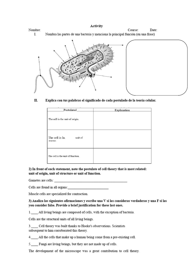 Activity No. 2 Prokaryotic Cell and Cell Theory | PDF