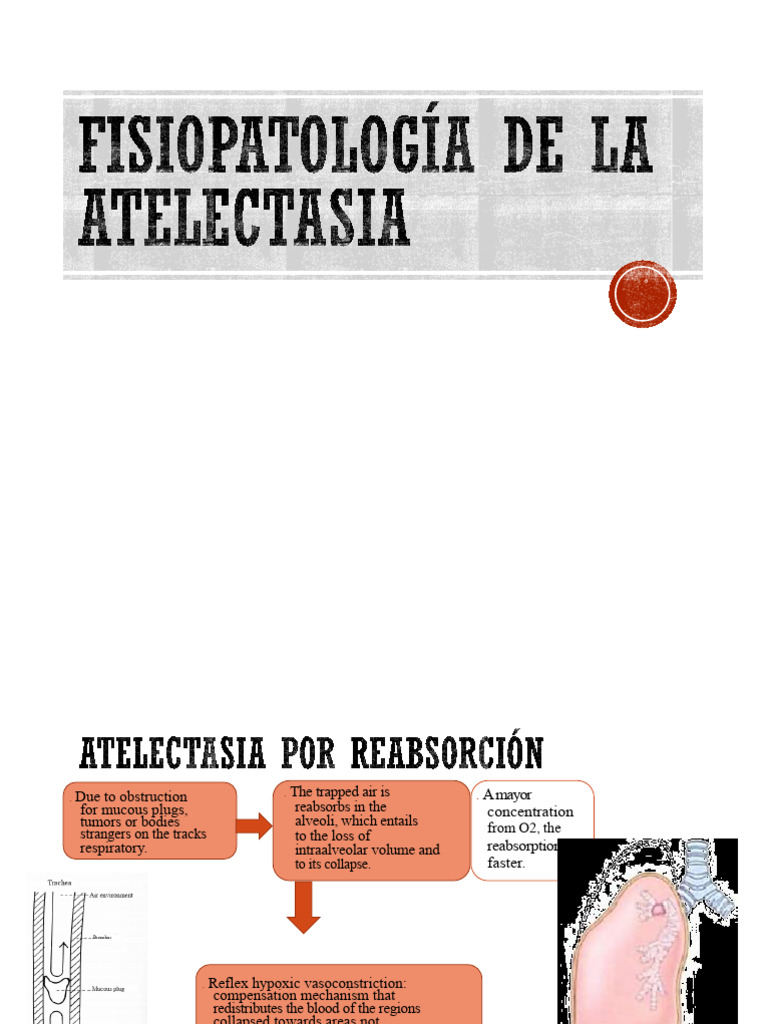 Pathophysiology of Atelectasis | PDF