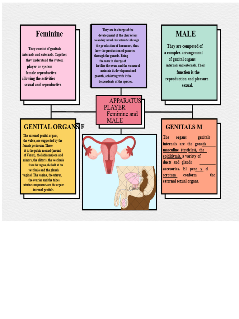 Conceptual Map Brainstorming Creative Multicolor Pastel Doodle | PDF ...