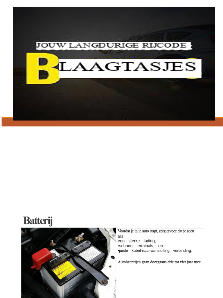 Blowbagets | PDF