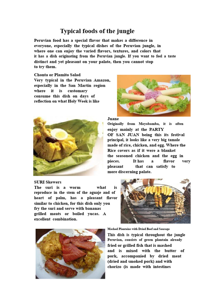 Typical Foods of The Jungle | PDF | Sausage | Asian Cuisine