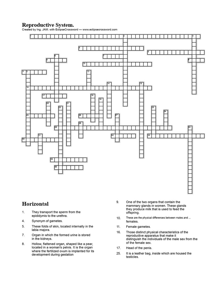 Crossword Reproductive System | PDF | Reproductive System | Human ...