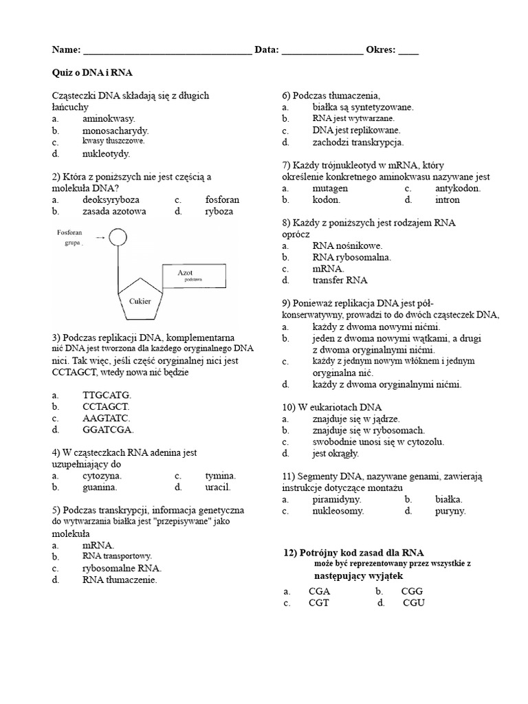 Quiz Na Temat DNA I RNA | PDF