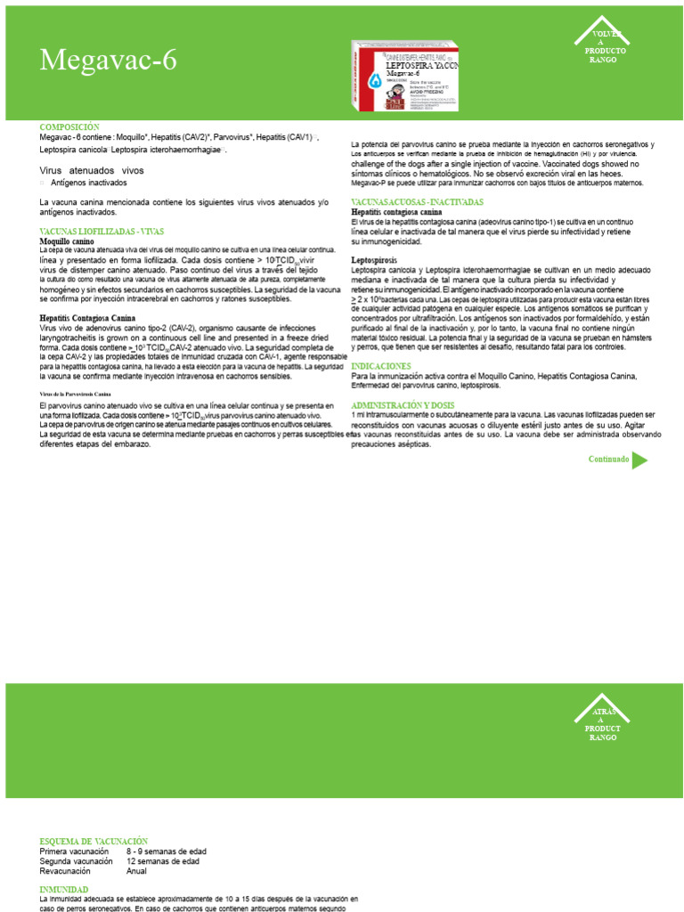Megavac 6 | PDF | Virus | Hepatitis