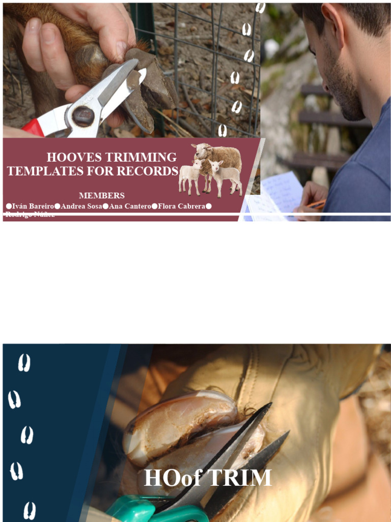 HOof TRIMMING AND RECORDS FOR SHEEP | PDF | Sheep