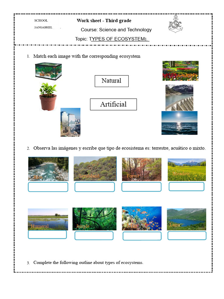 Worksheet On Science and Technology - Types of Ecosystems | PDF
