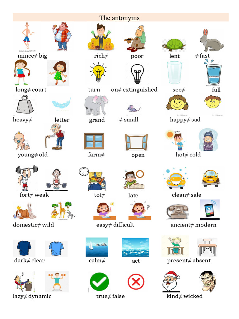 List of Common Antonyms | PDF